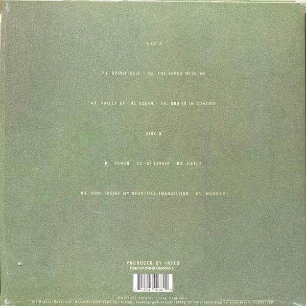 Виниловая пластинка SAULT "Earth" (LP). Цена - 4 999 руб.. Фото ...