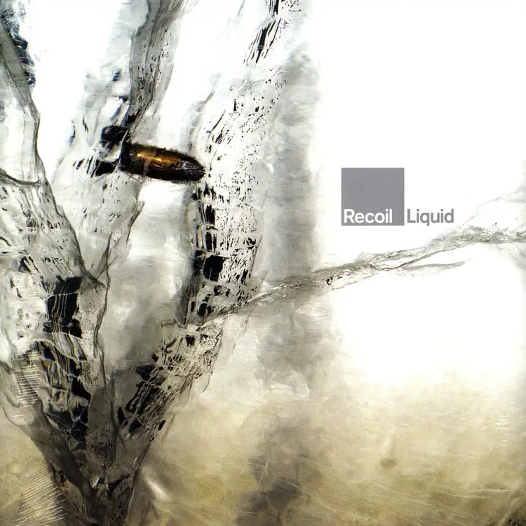 RECOIL "Liquid" (2LP) - купить виниловую пластинку по цене 4 999 руб. в ...